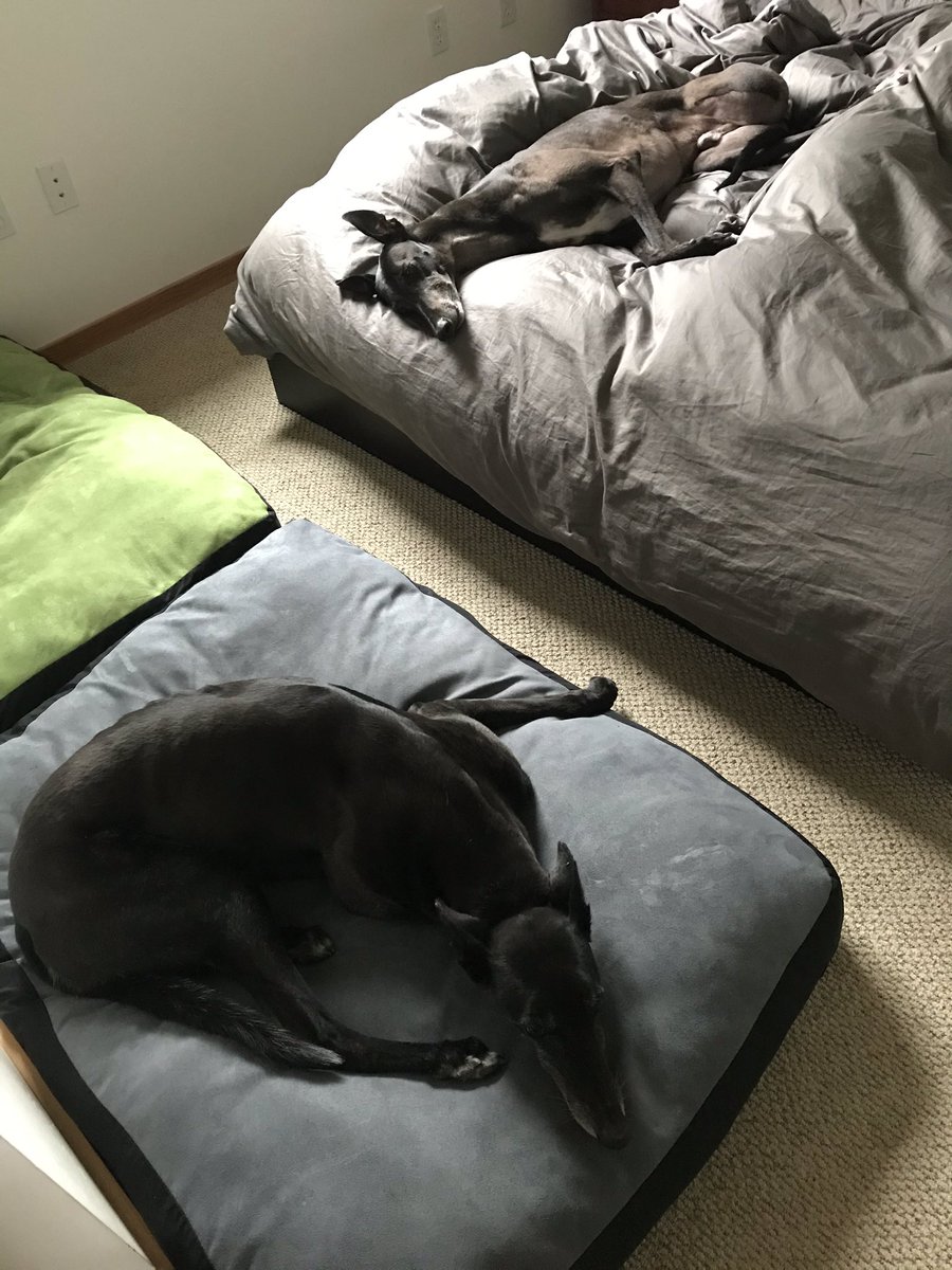 Waking up is hard to do on a rainy Methow morning. FWIW, we are all ...