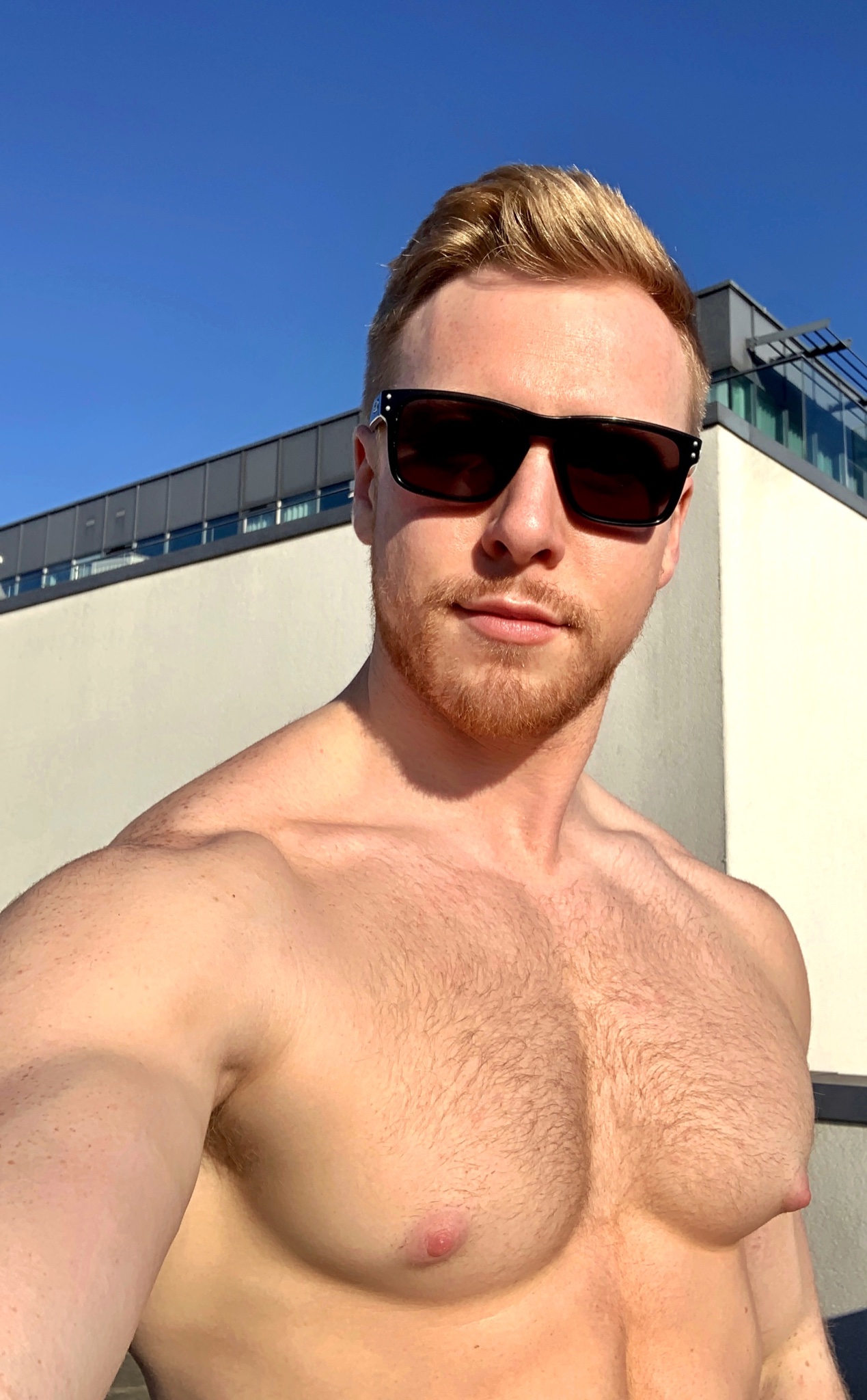 TW Pornstars - 1 pic. _DMfit. Twitter. Furry chest or smooth?. 9:10 PM ...