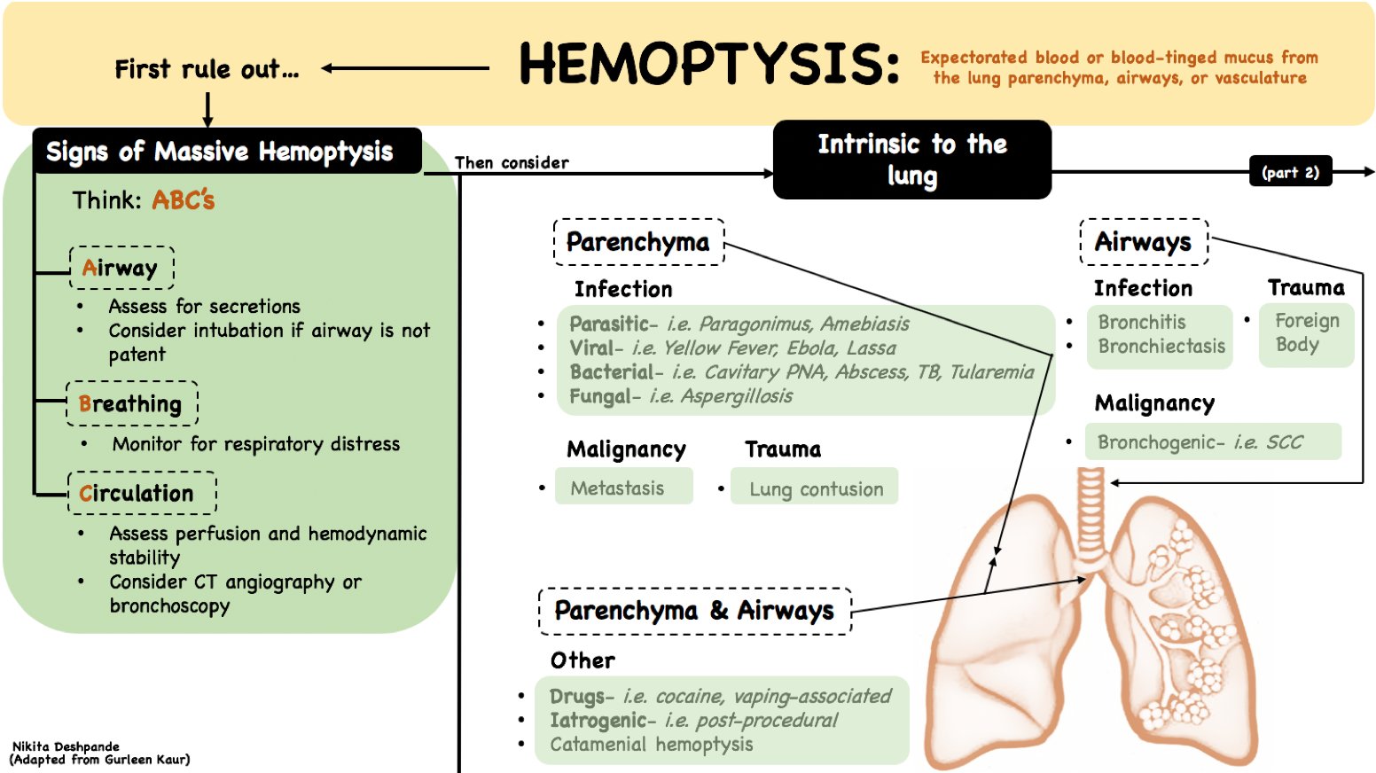 Hemoptysis Pathophysiology