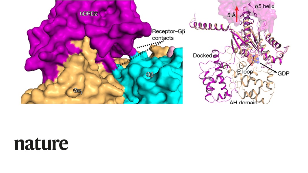 A study published in Nature shows the high-resolution structure of an ...