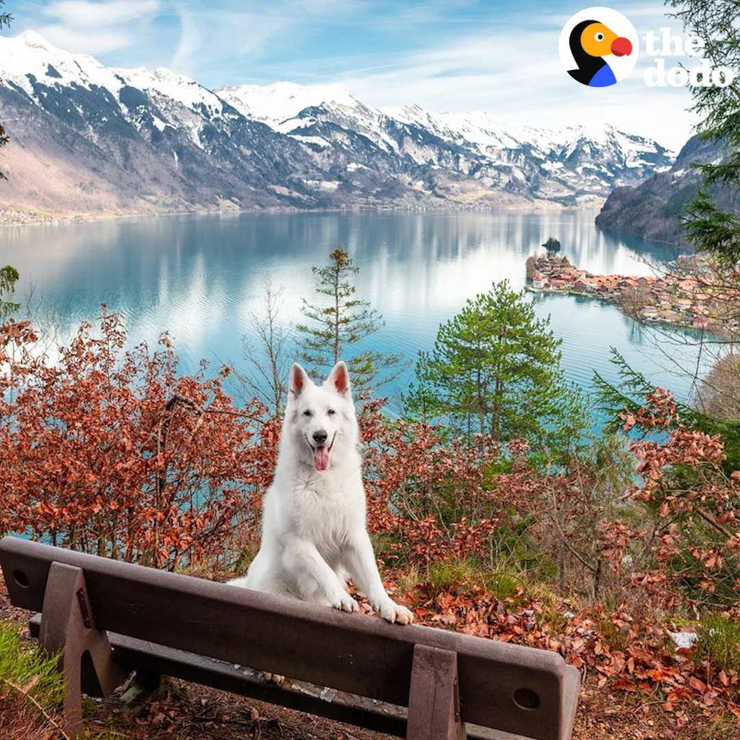 Derek (@derekprieur_) | Twitter