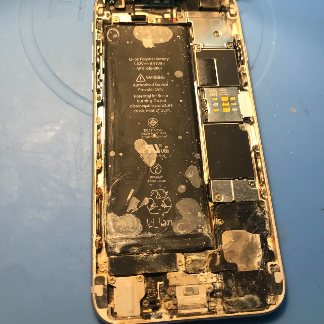 They got lost. This photo is irrefutable proof. : r/KremersFroon