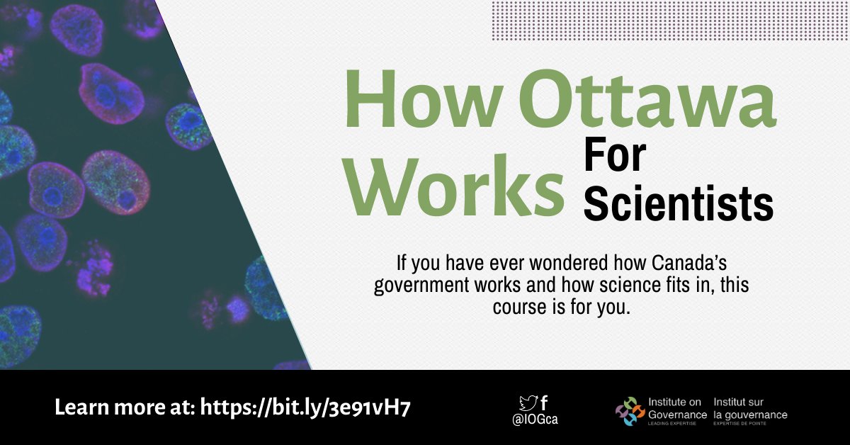 Leading Expertise | Institute on Governance