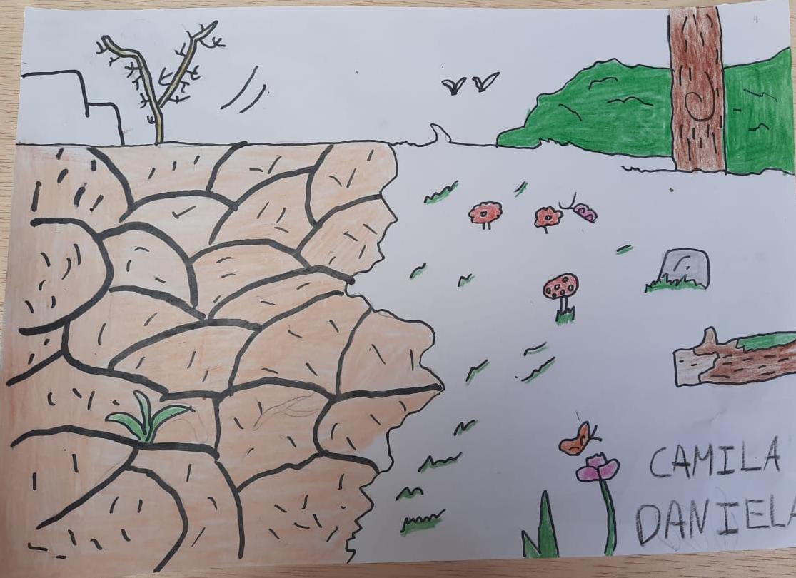 Top 132 Imagen 10 Dibujos De Los Recursos Naturales - vrogue.co Top 132 Imagen 10 Dibujos De Los Recursos Naturales - vrogue.co