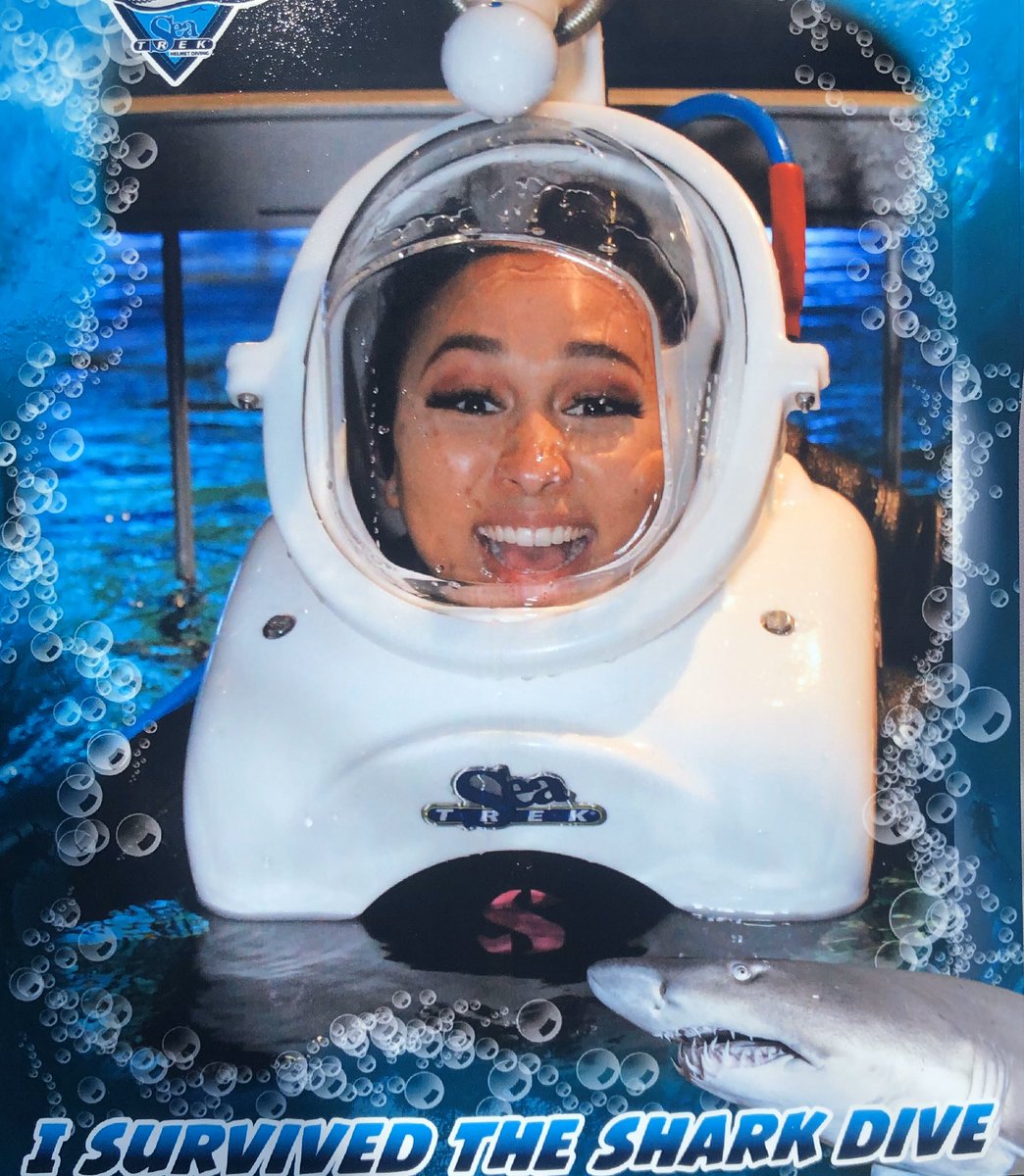 shark diving wait guys OneTankTrips actionnews | Daisha Jones WCTI ...