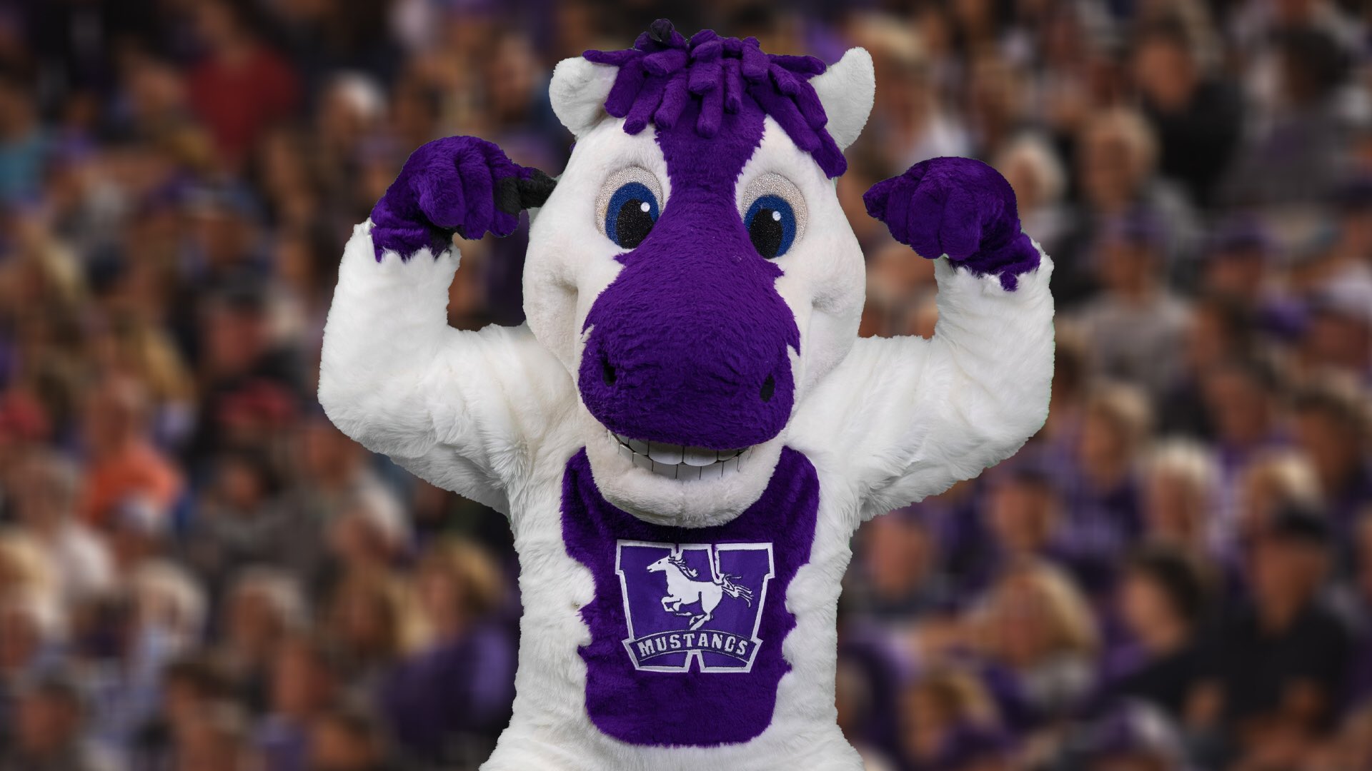 Western University Mustangs