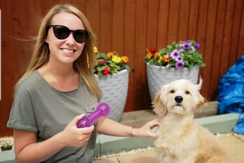 The fun and loving pet who is now in the national final of Lockdown Dog ...