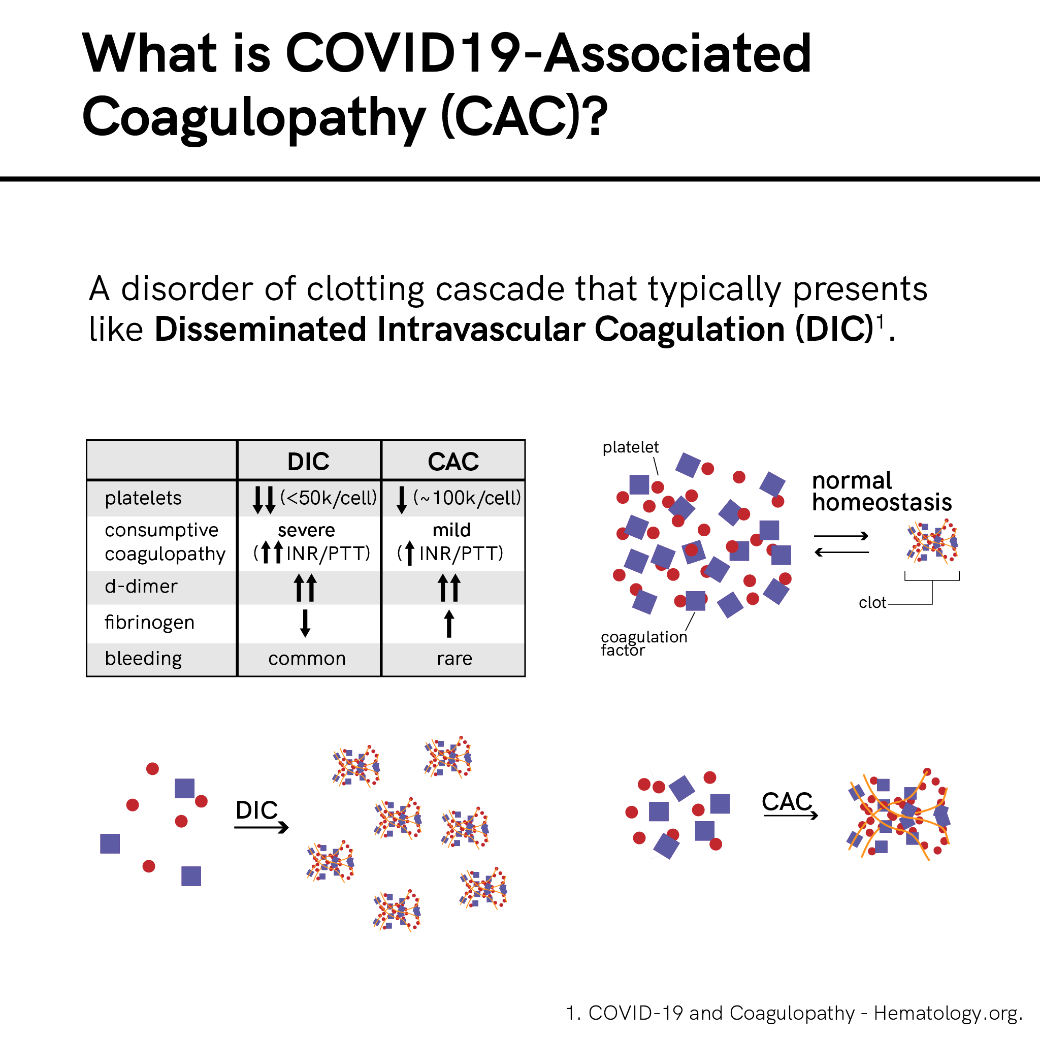 Disseminated Intravascular Coagulation Clotting Cascade