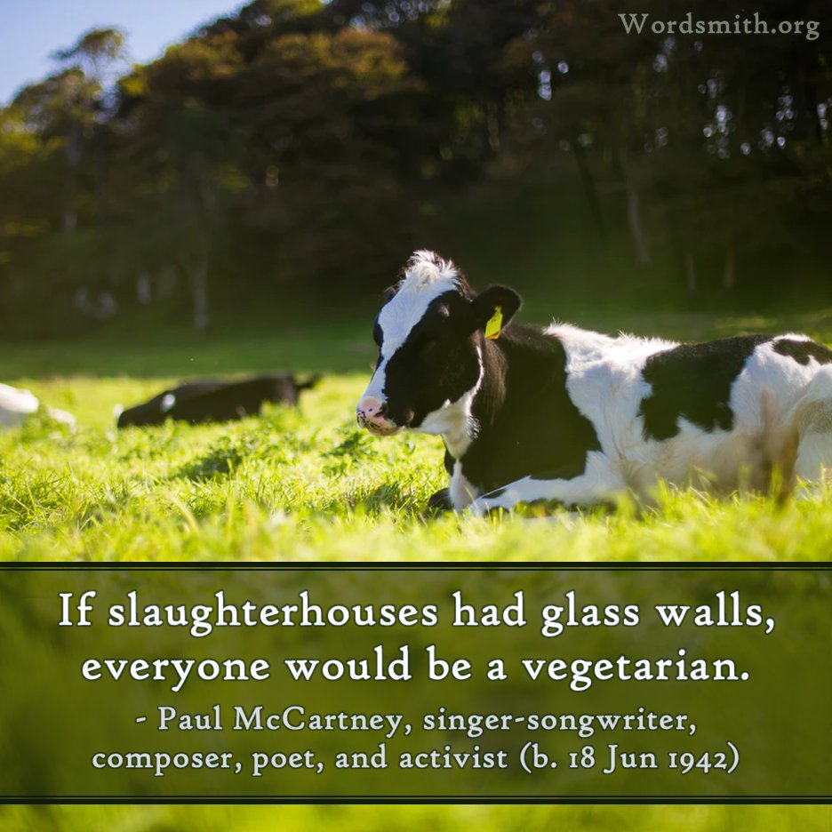 If Slaughterhouses Had Glass Walls