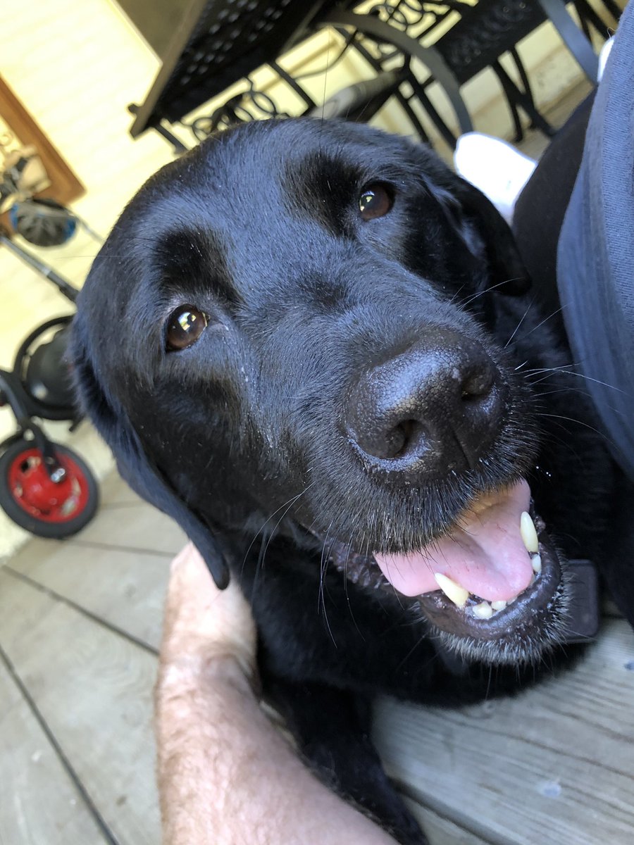 A Thread from @TheSGEM: "Today we need to say goodbye to our beloved ...