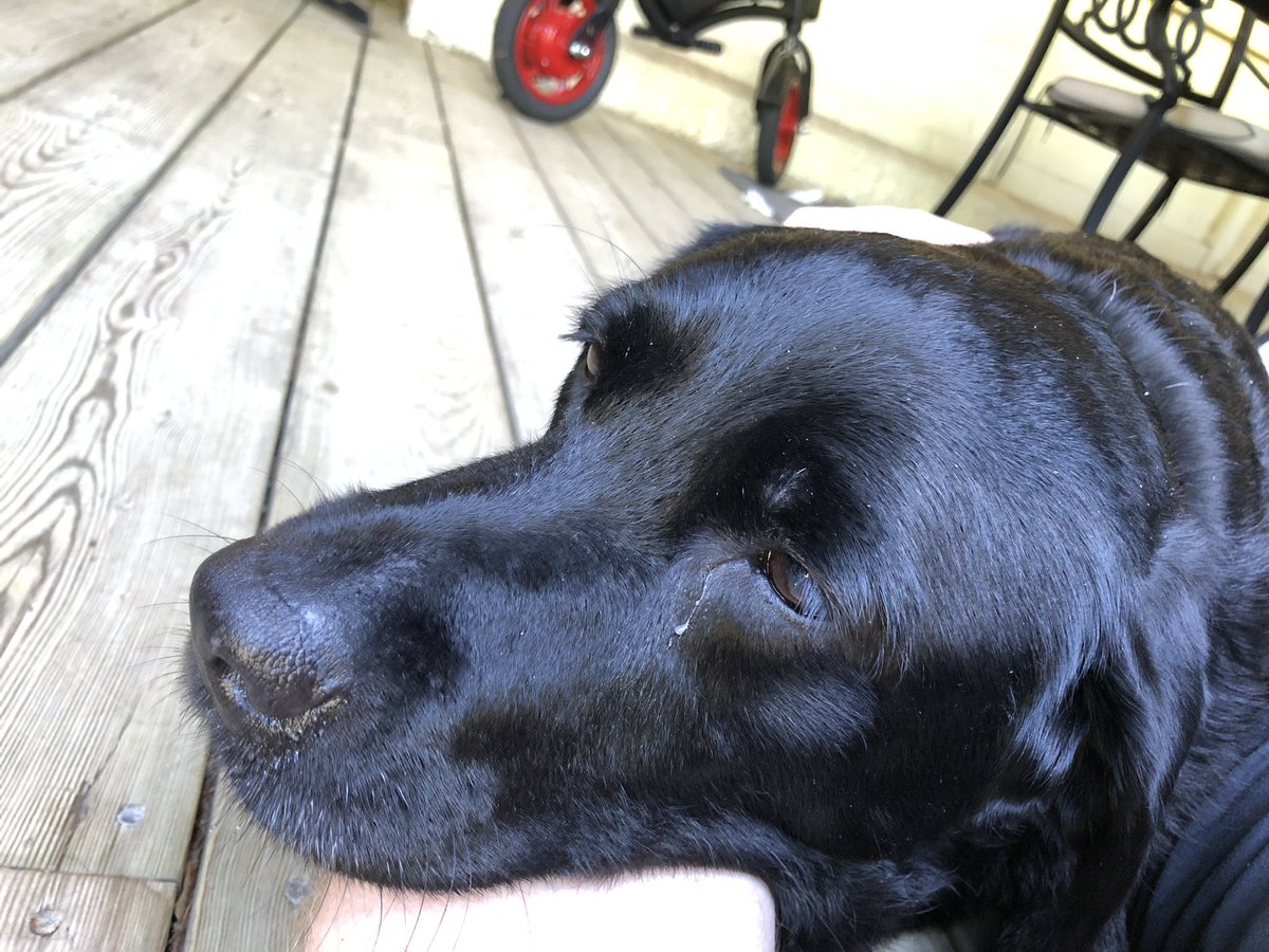 A Thread from @TheSGEM: "Today we need to say goodbye to our beloved ...