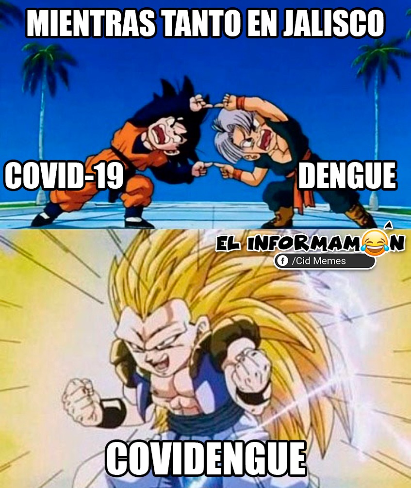 Memes Del Dengue
