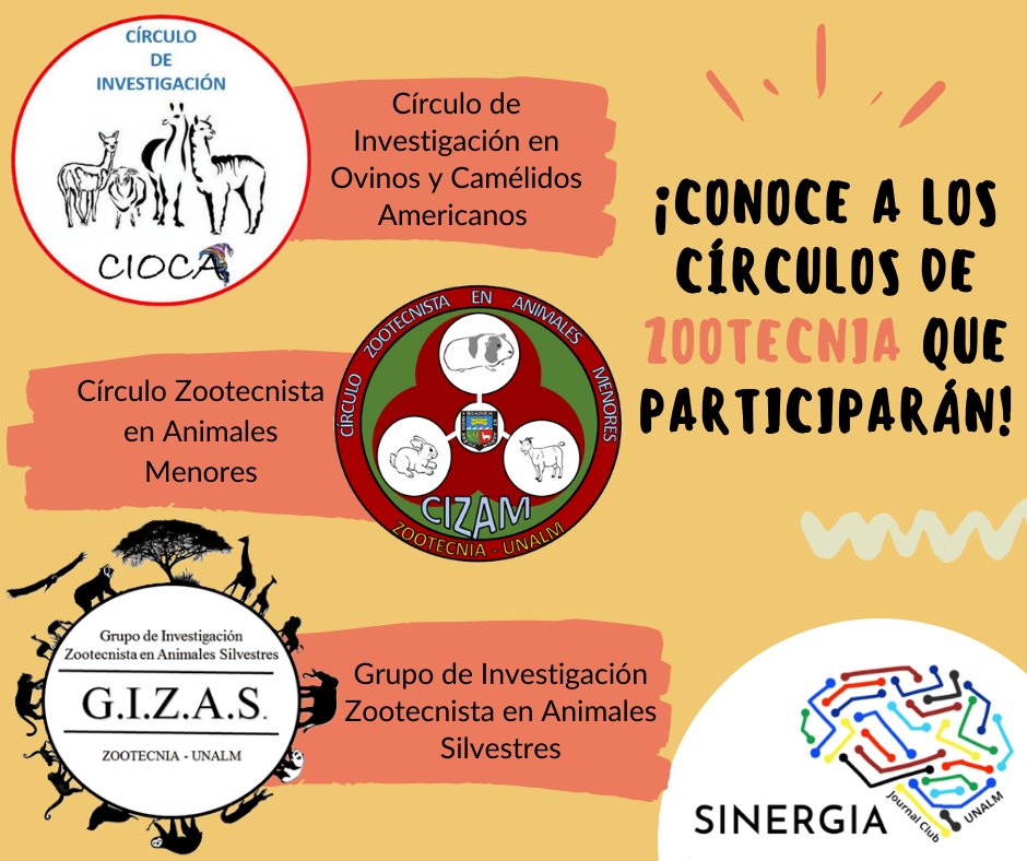 Sinergia Program (@sinergiaprogram) | Twitter