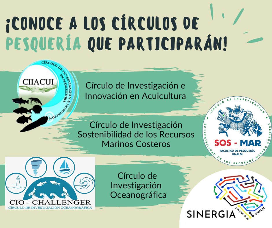 Sinergia Program (@sinergiaprogram) | Twitter