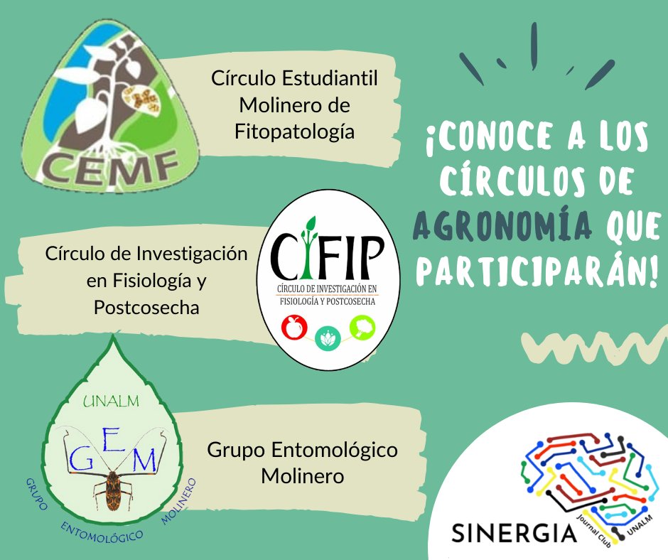 Sinergia Program (@sinergiaprogram) | Twitter