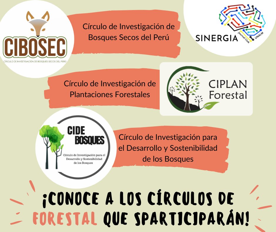 Sinergia Program (@sinergiaprogram) | Twitter