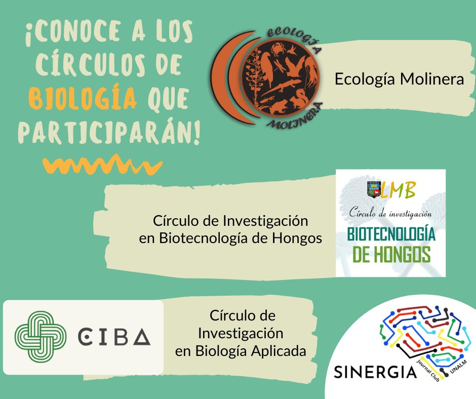 Sinergia Program (@sinergiaprogram) | Twitter