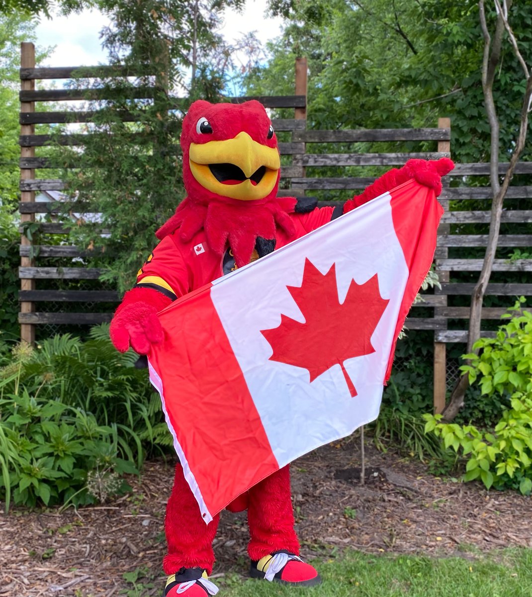 University of Guelph Gryphons- Swimming - University of Guelph