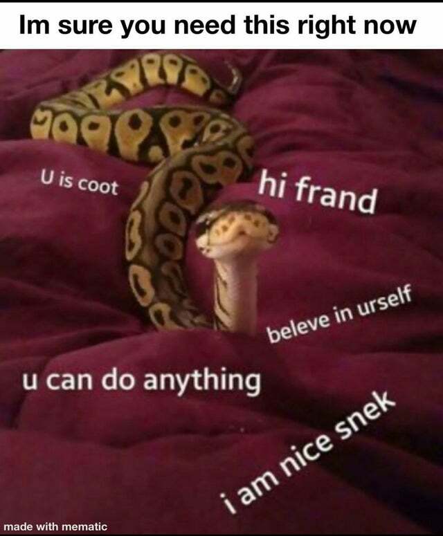 Snake Family Memes 🥉 Pipkin Pippa 🔌🐰 Phase Connect On X: "FOR