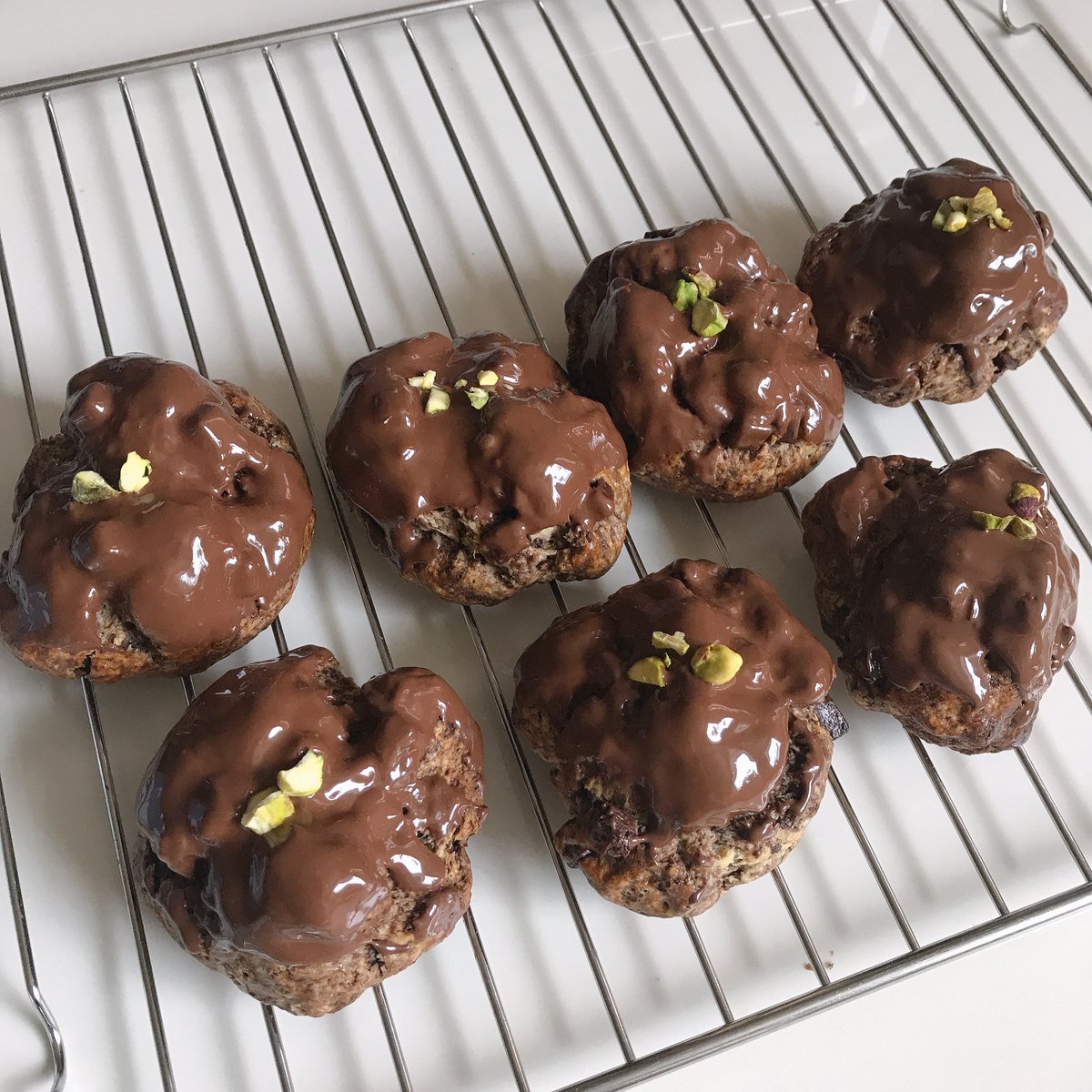 𝑪𝑨𝑴𝑬𝑳𝑳𝑨𝑨𝑨 (@SpaceKiwiMochii) | Twitter