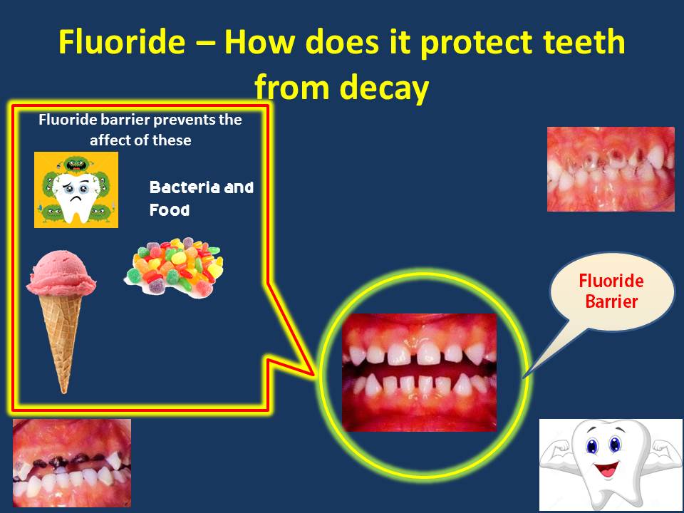 Dr. B.N. Rangeeth (@justforkiddsden) | Twitter