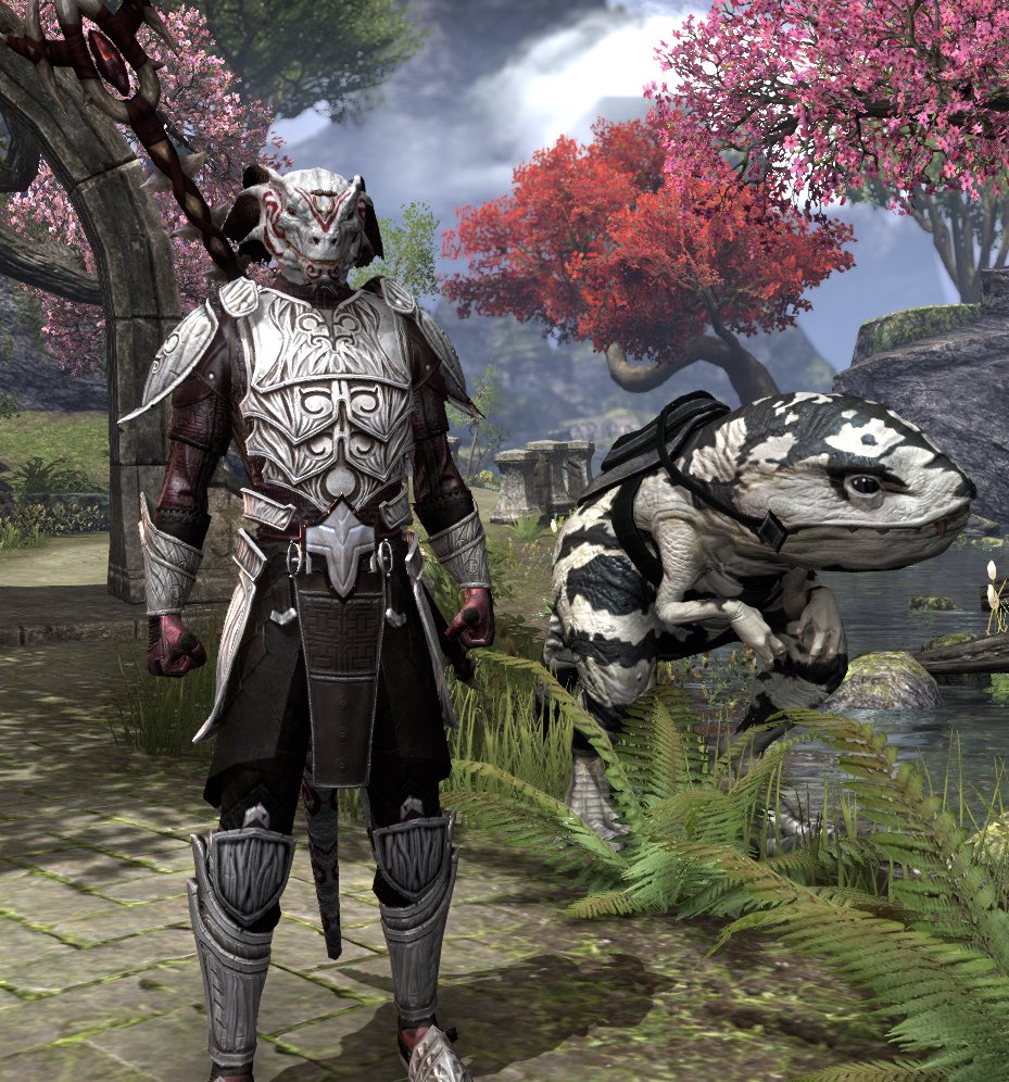 Argonian Vampire Skyrim