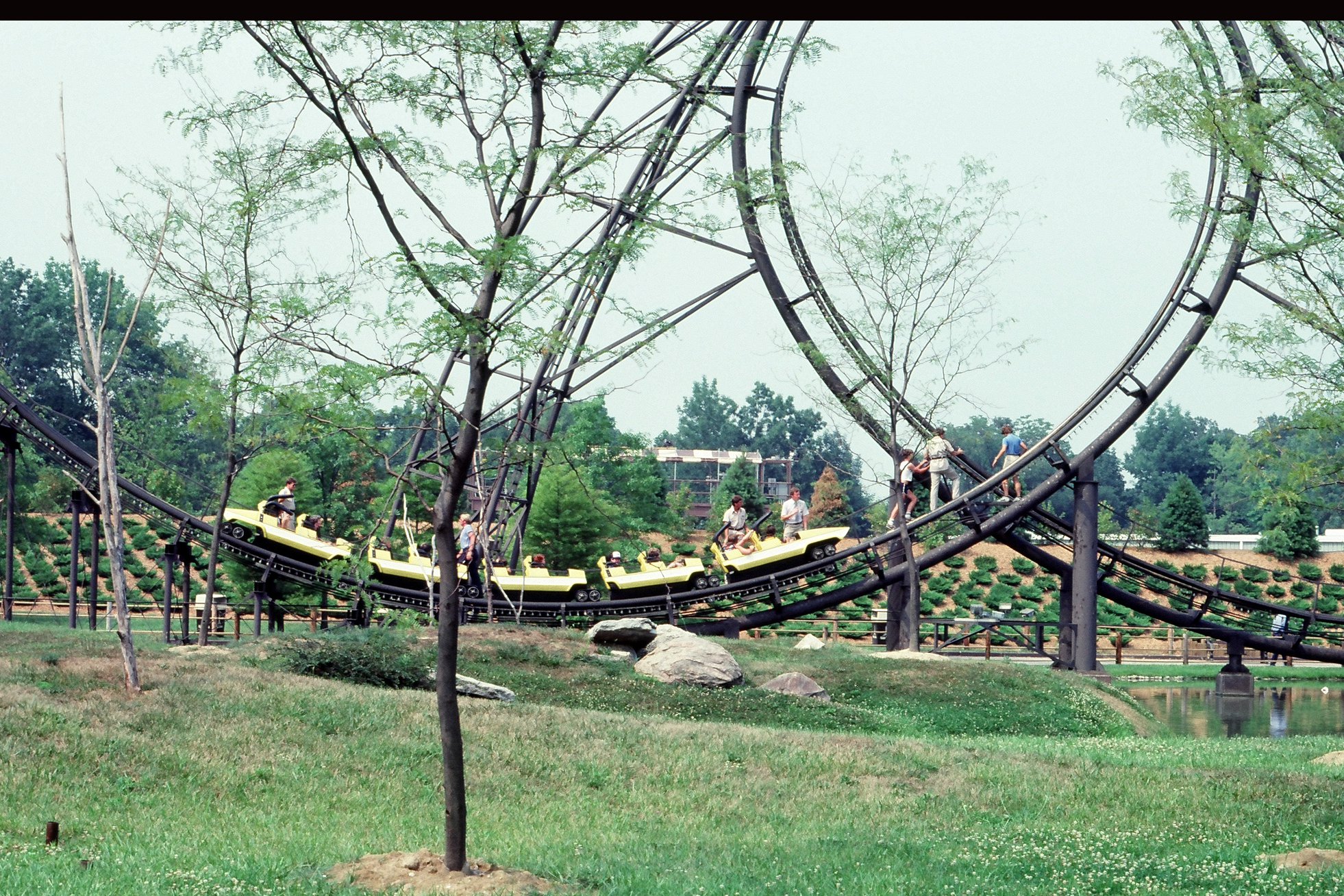 Screamin Demon Roller Coaster