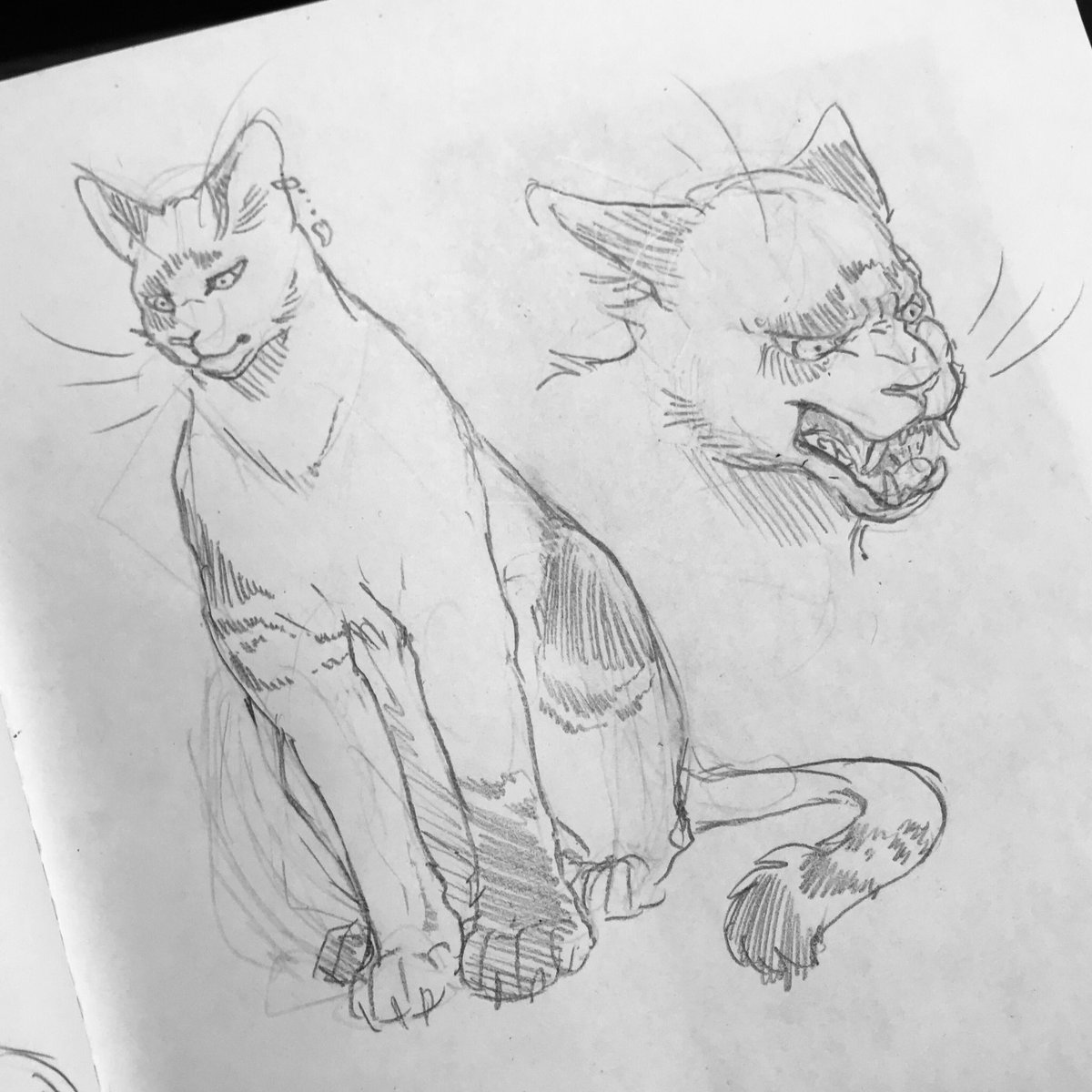 「Mini spoilers for today's chapter but some sketches #goldenk」Shatterの漫画