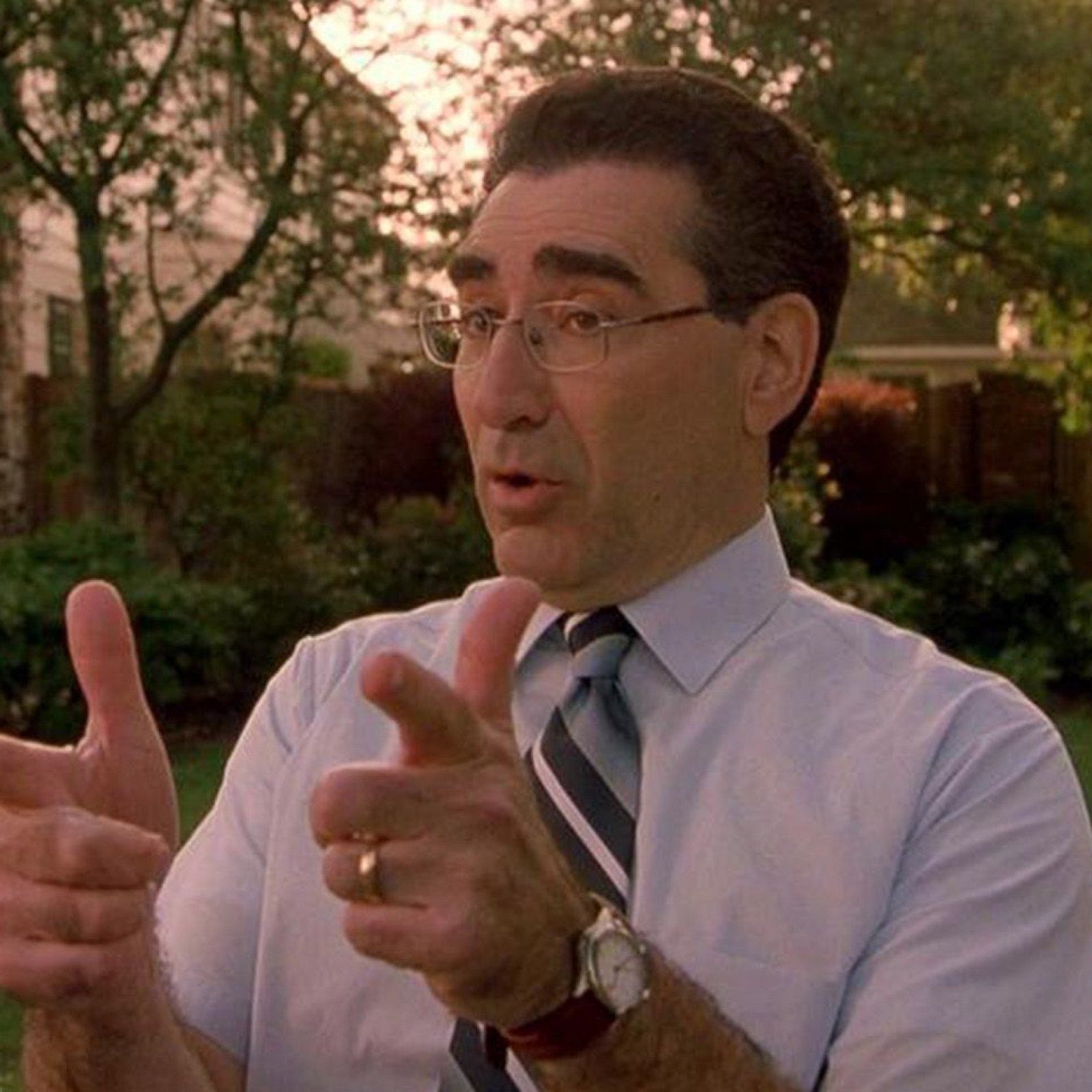 Jims Dad American Pie