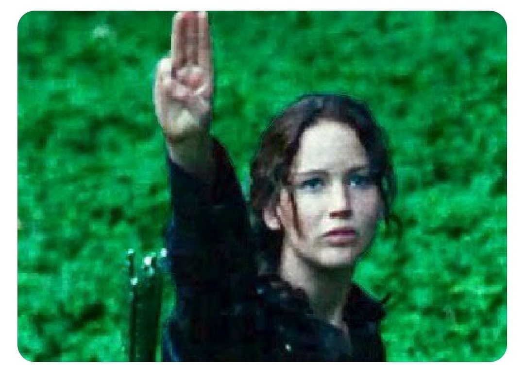 Katniss Three Finger Salute