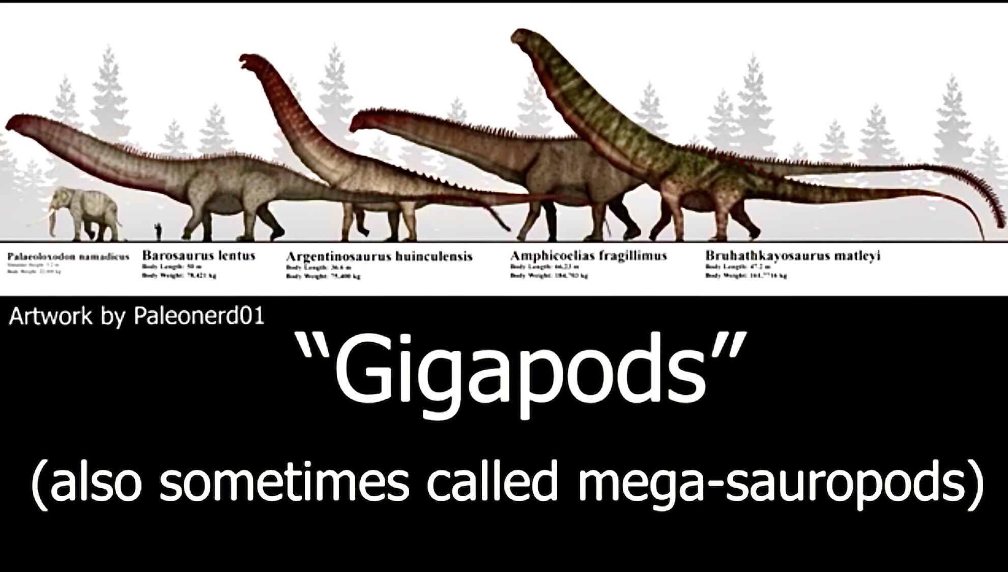 Bruhathkayosaurus Vs Argentinosaurus