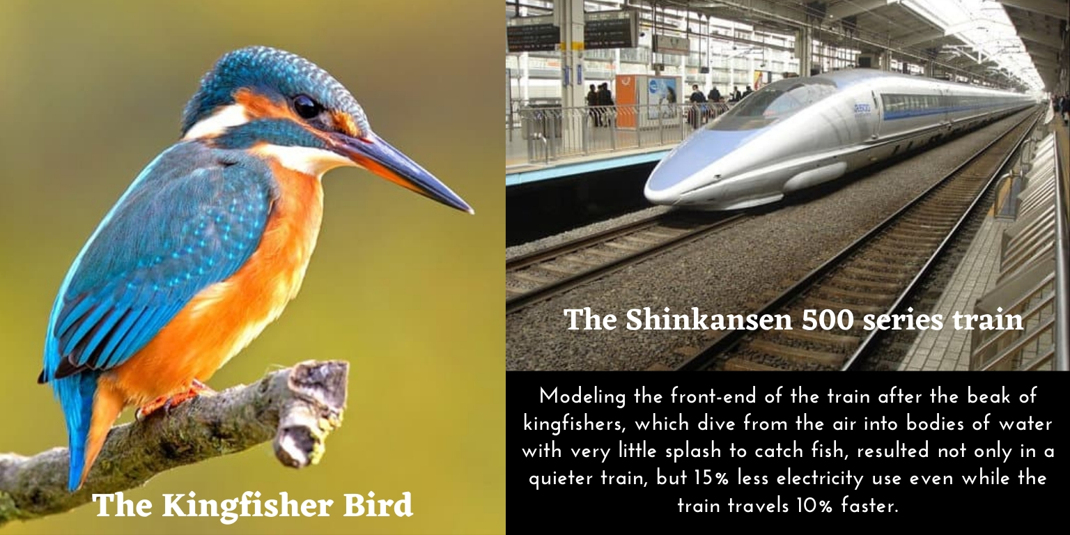 Shinkansen 500 Series Model