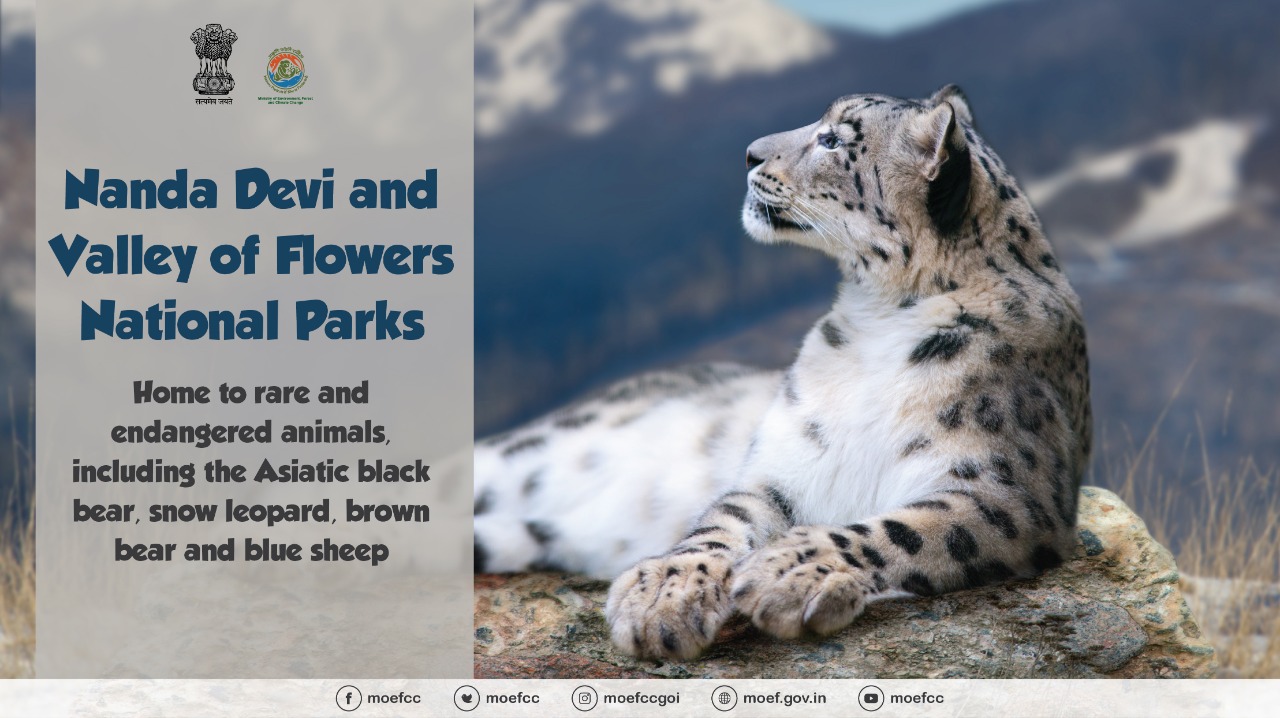 Animais Do Parque Nacional Nanda Devi Nanda Devi And Valley Of Flowers