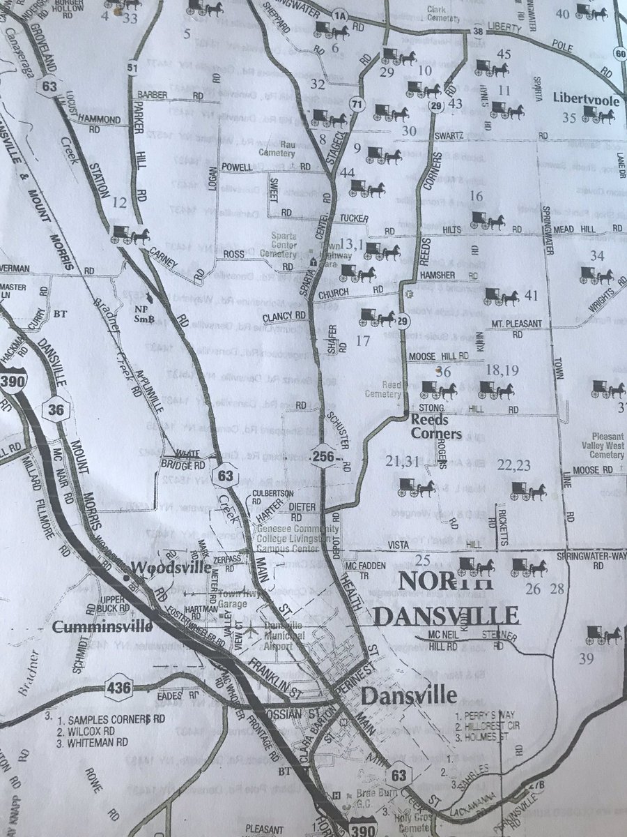 This is the map of Amish home businesses in Livingston County. After I ...