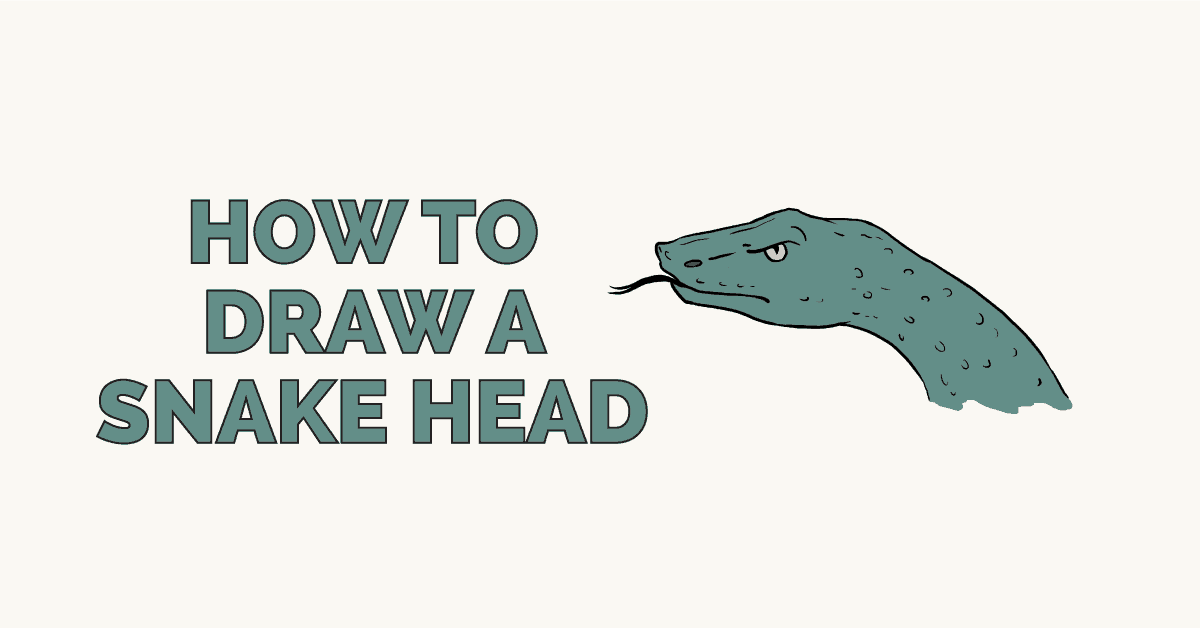 How To Draw A Snake Head
