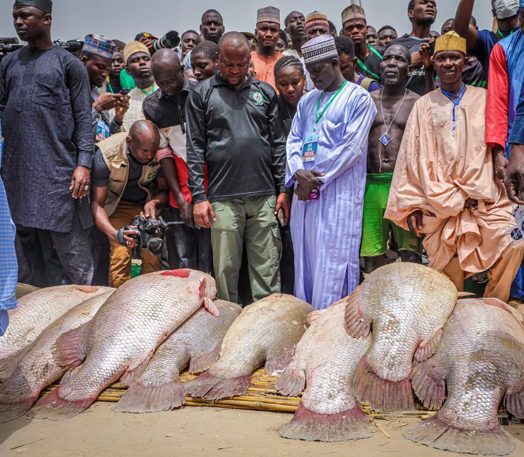 Thread by @thriveagric on Thread Reader App – Thread Reader App