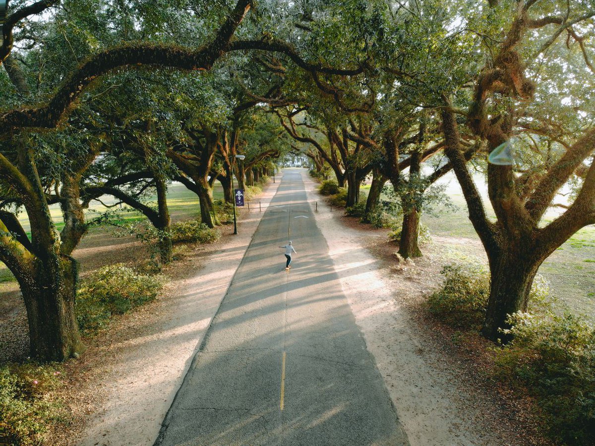 Have you ever seen Spring Hill College's Avenue of the Oaks in Mobile ...