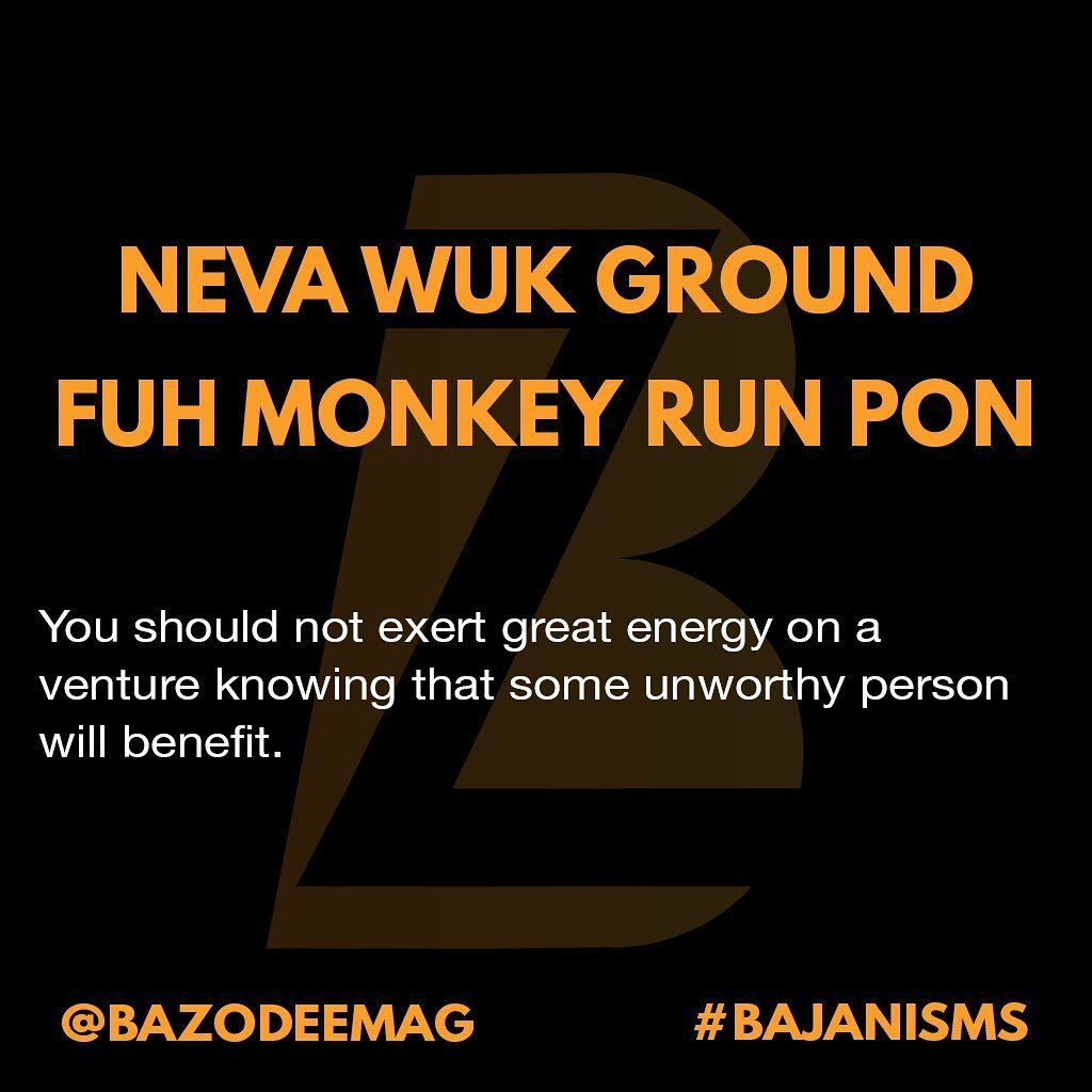 Bajan Quotes Swipe For A Sneak Peek At Bjorn Bjerkhamn's New