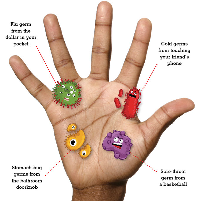 Most Common Germs On Hands
