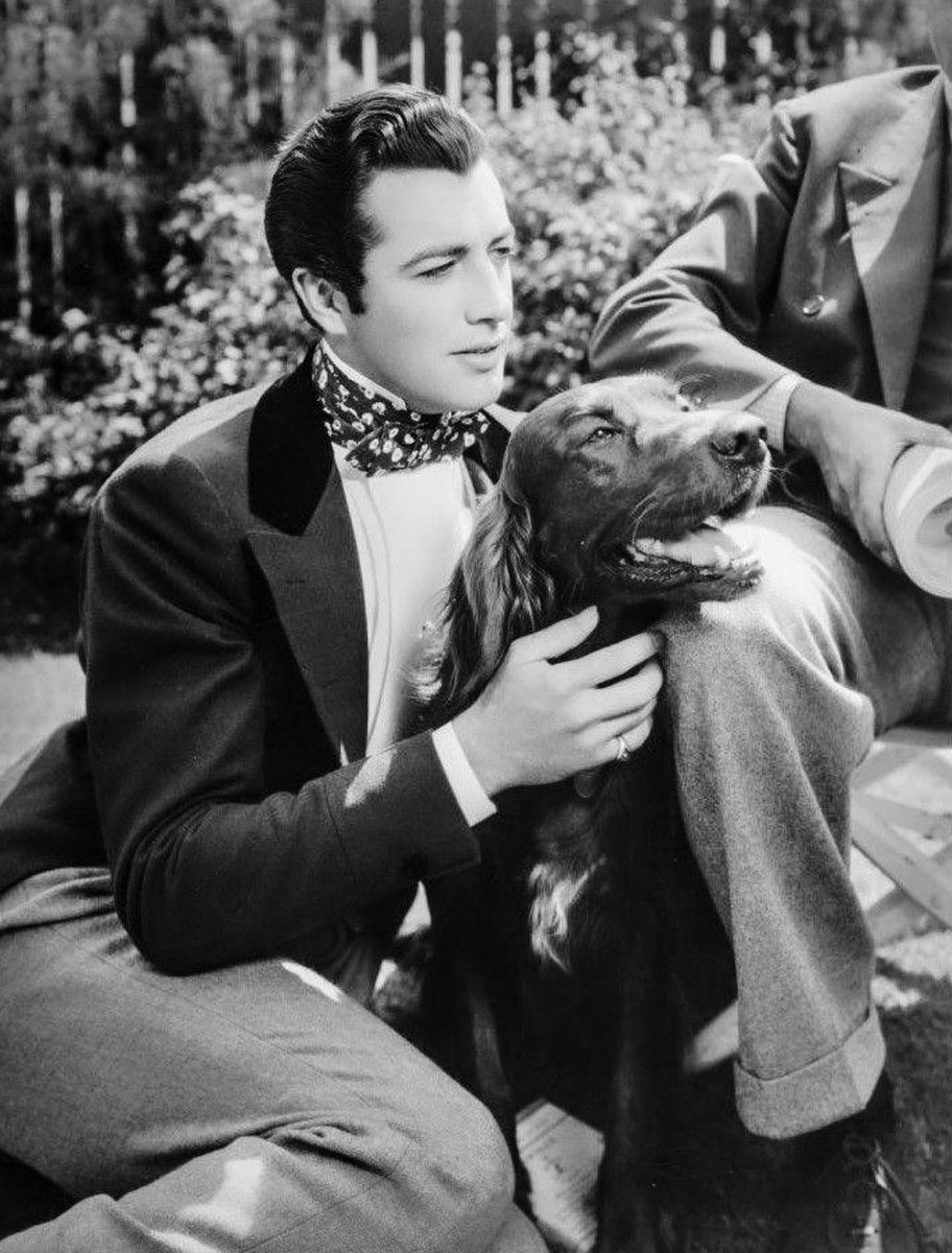 Robert Taylor Camille