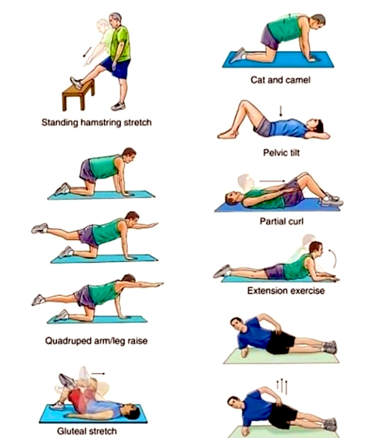 Printable Mckenzie Stretching Exercises An Individualised