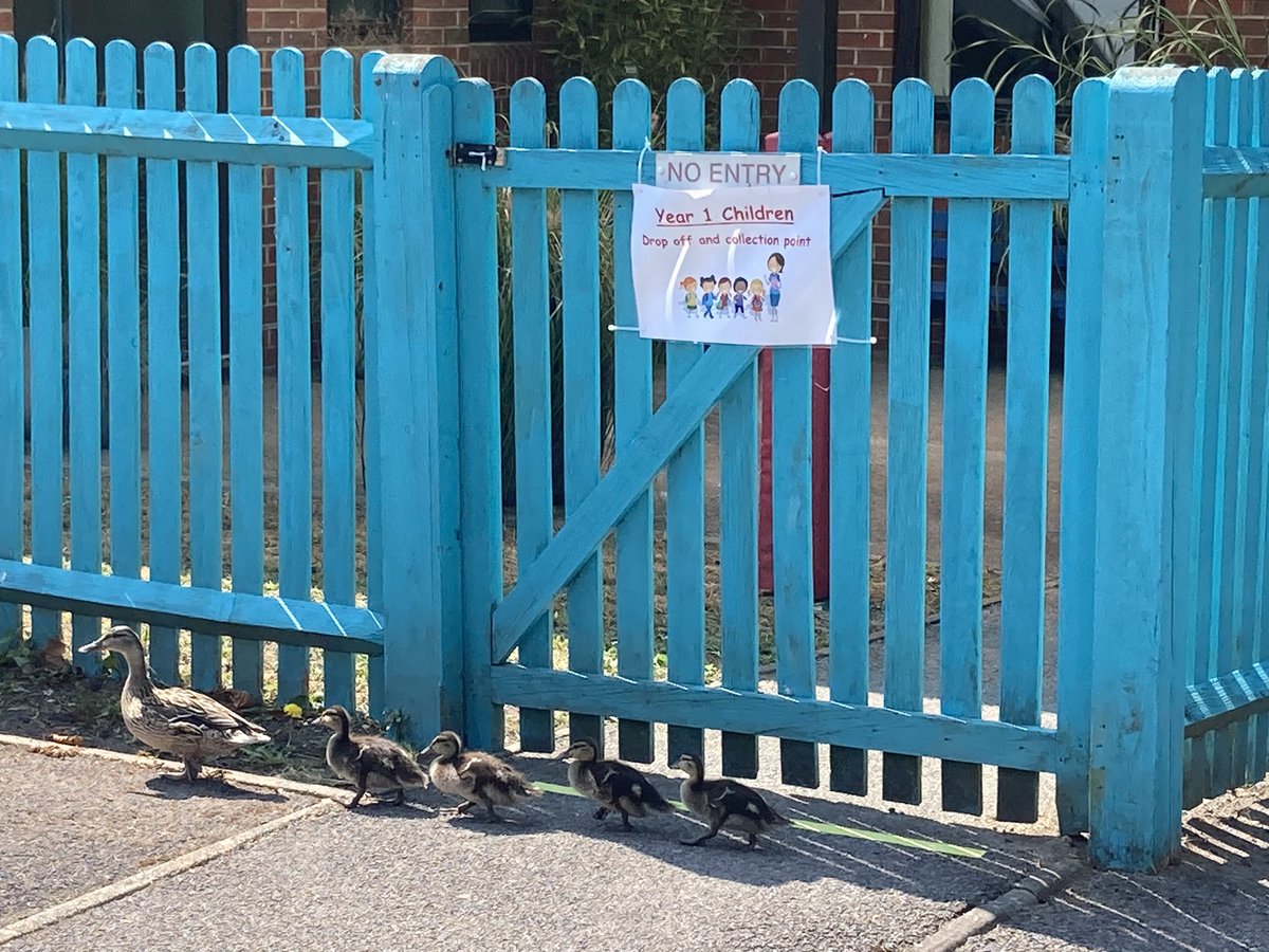 Bosham Primary School - Home