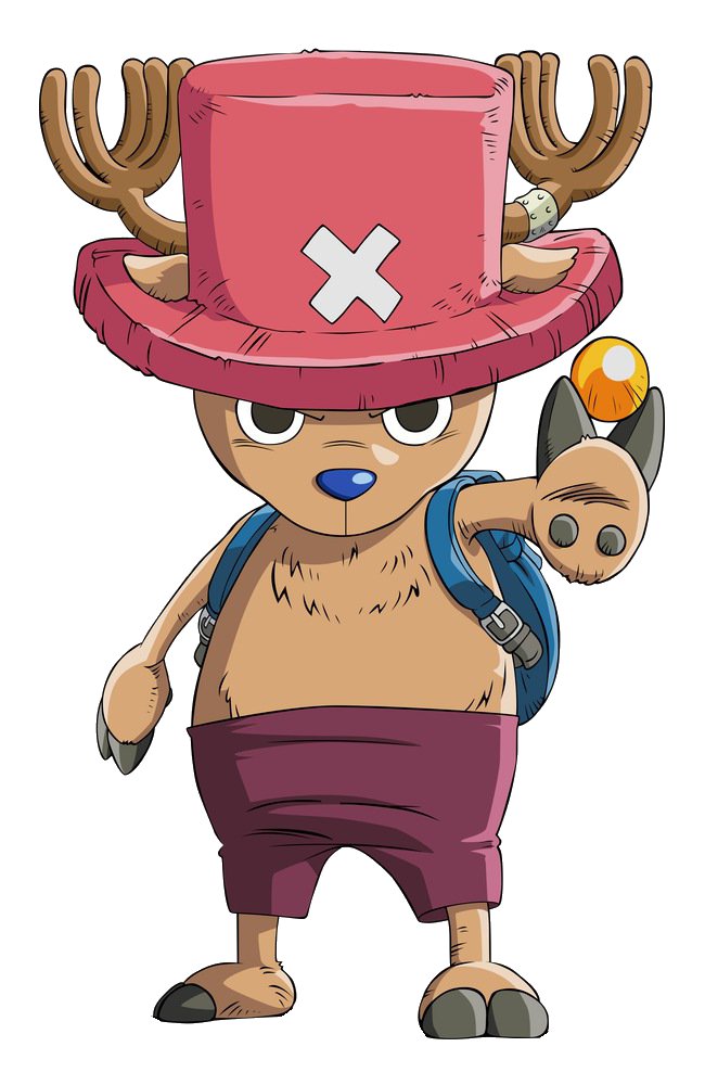 Chopper One Piece Time Skip