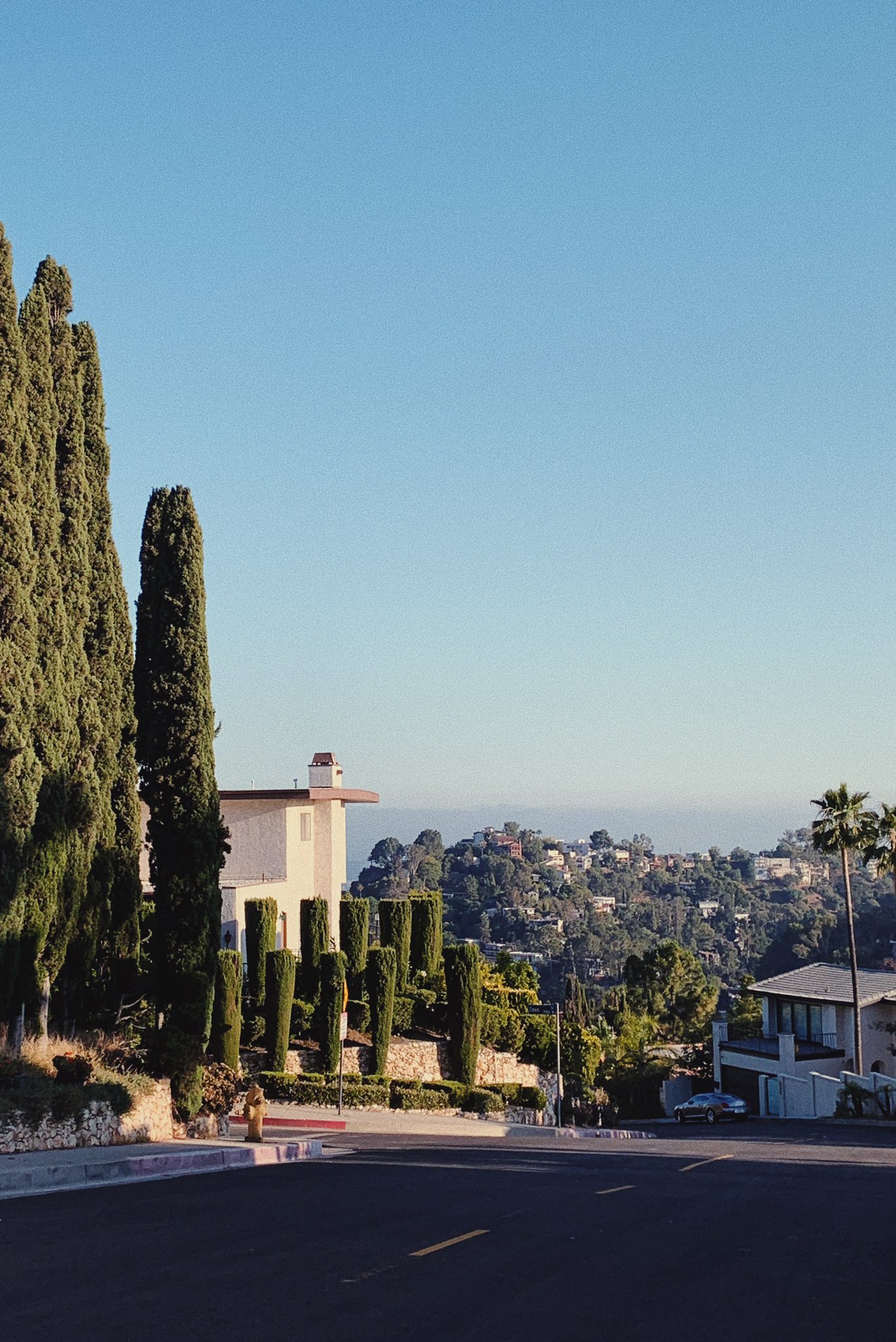 TW Pornstars - 1 pic. Bush Queen. Twitter. my weekend details check out ...