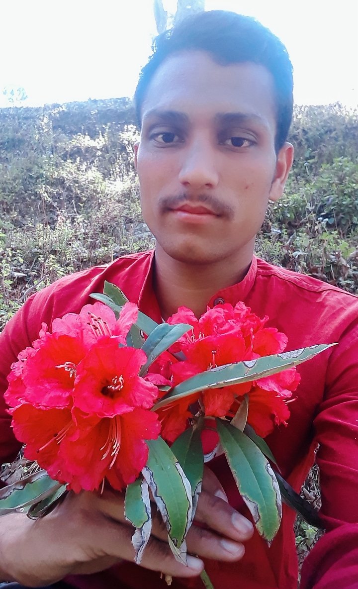 Tek Bibash Saud (@bibash_tek) | Twitter