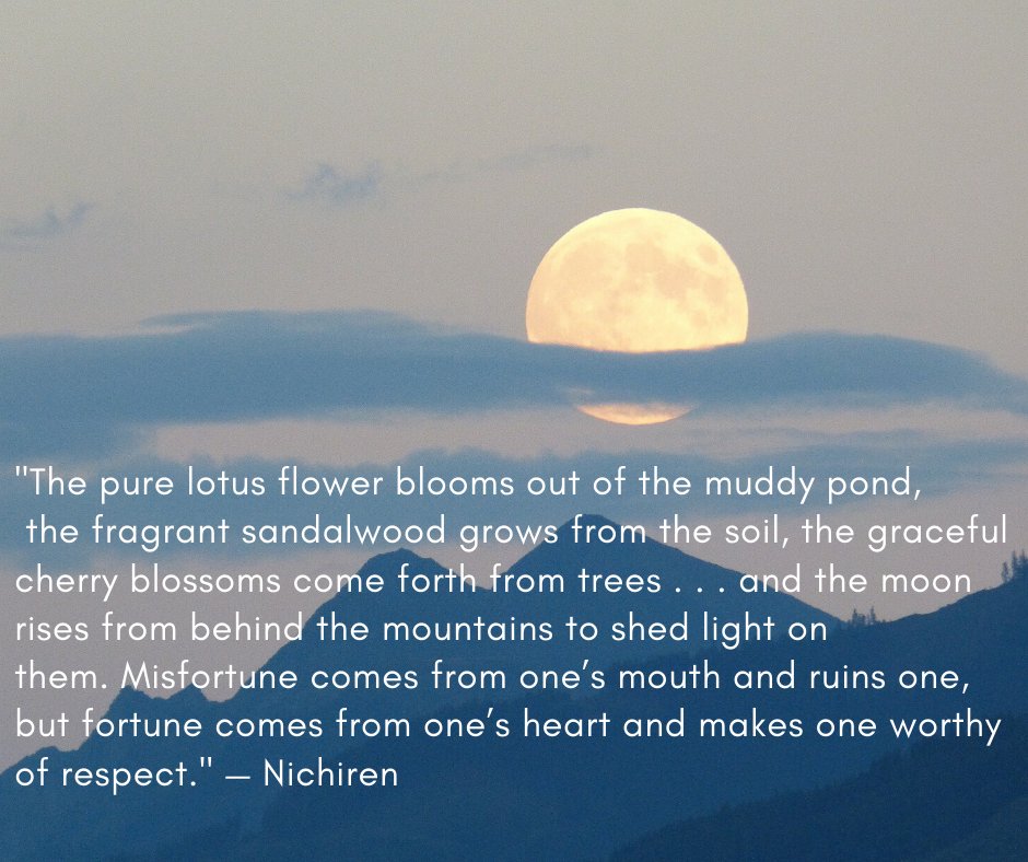 Nichiren Quotes Life Of Nichiren Buddhism Of The Sun Coloring Book