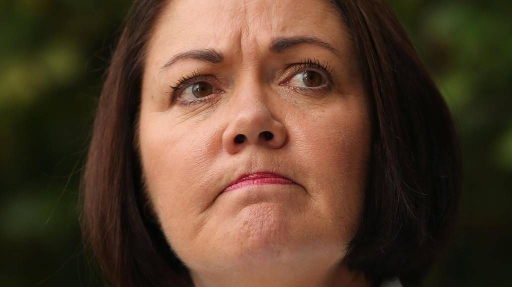 Opposition Leader Liza Harvey has condemned comments made by an Upper ...