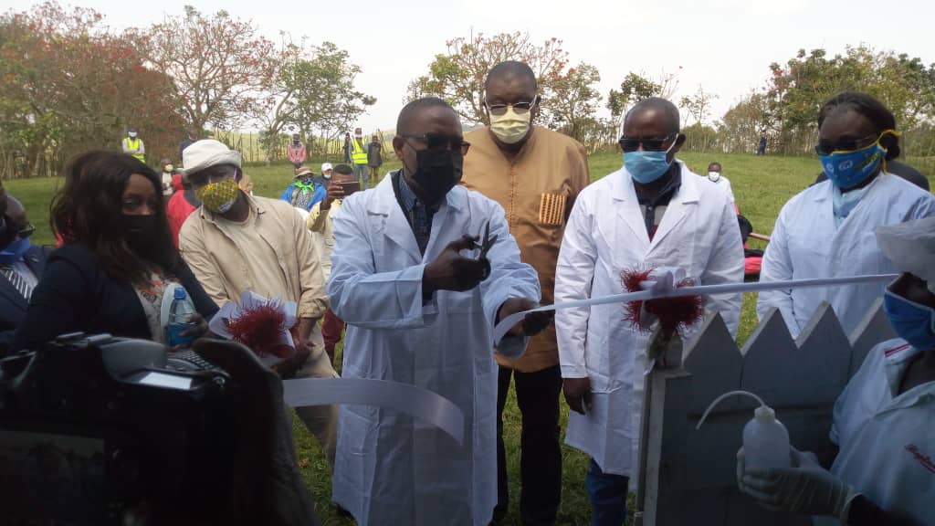 Manu ilunga (@Manuilunga1) | Twitter