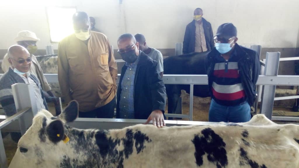 Manu ilunga (@Manuilunga1) | Twitter