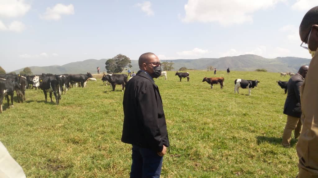 Manu ilunga (@Manuilunga1) | Twitter